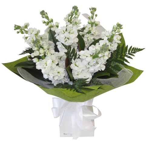 Fragrant Stock Bouquet | Free Flower Delivery Auckland